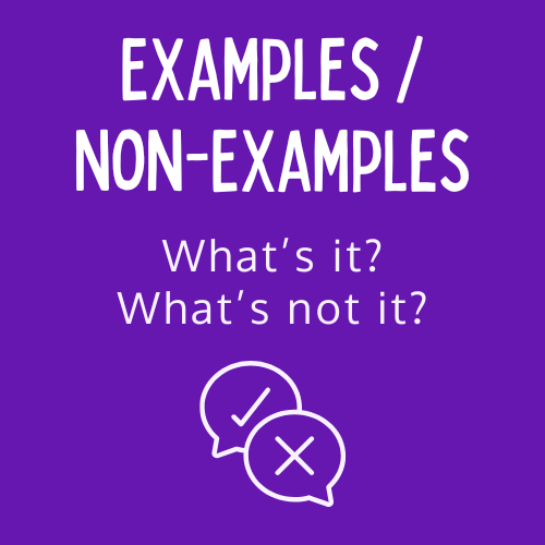 Examples / Non-Examples – Practice-Driven PD